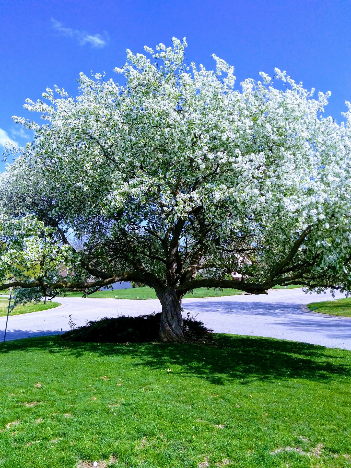 Recharge! Refresh! Renew! | Writing Silver Linings